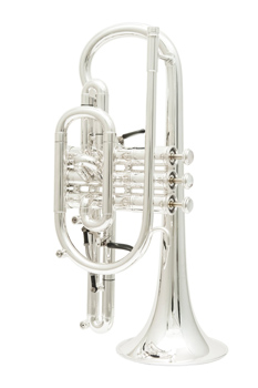 Bb Cornets For Sale Online In The UK | Dawkes Music